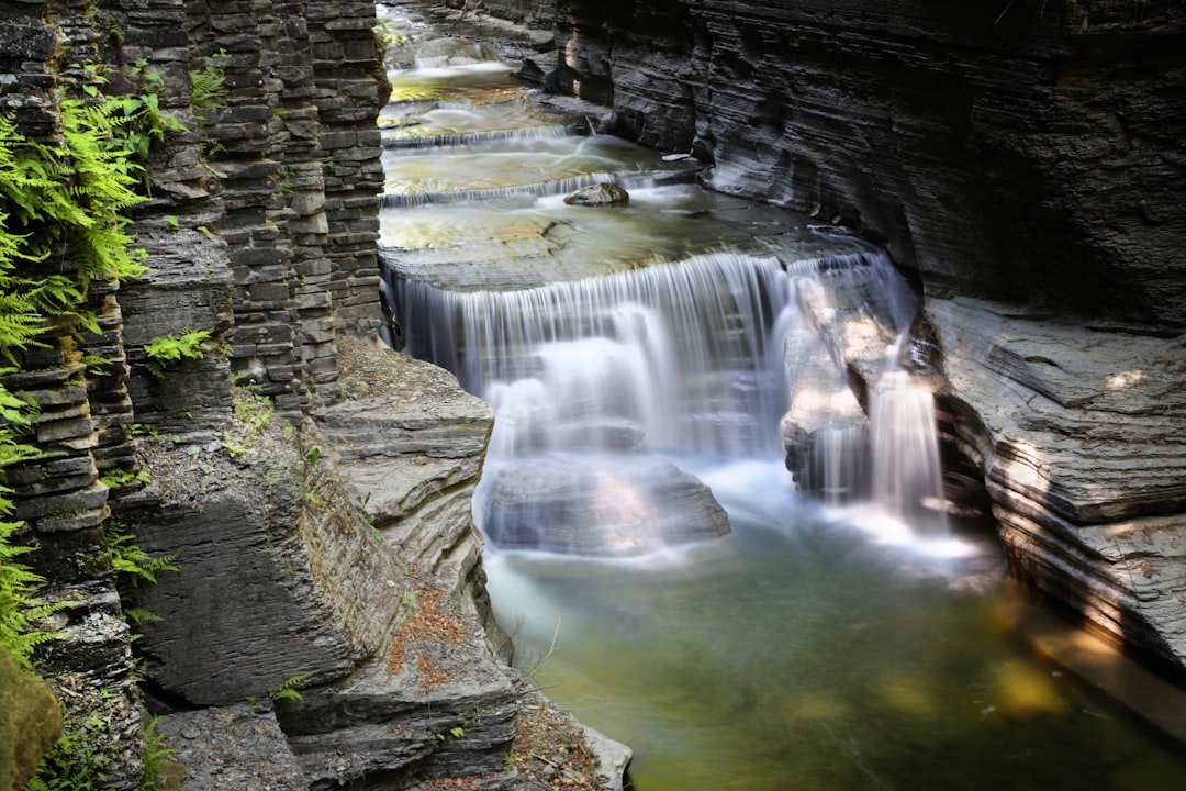 The Complete Pet-Friendly Guide to the Finger Lakes – Discover FLX